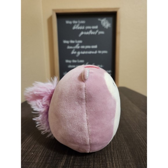 Squishmallows | Toys | Raresquishmallow Plush 5 Allina The Squirrel ...